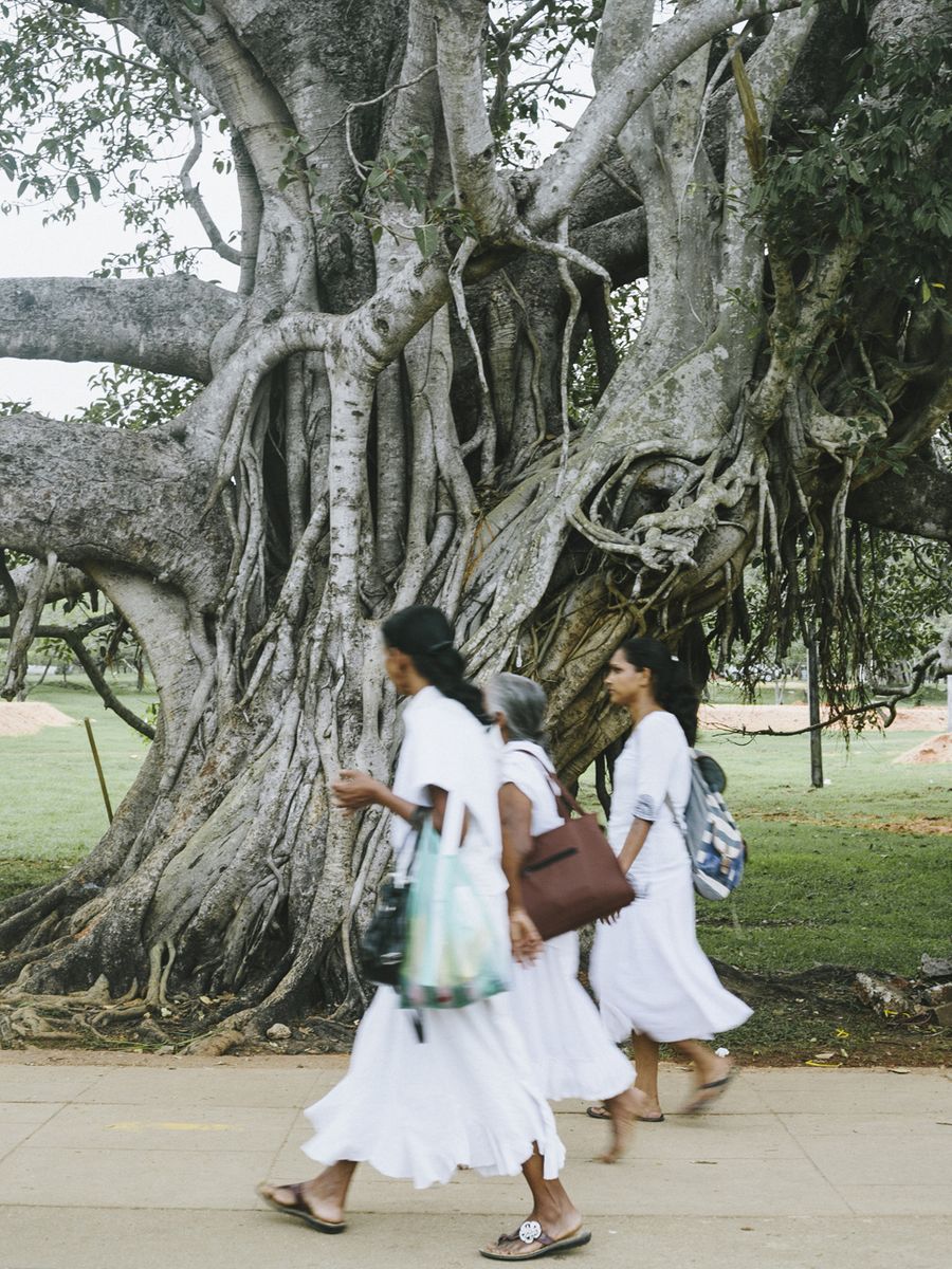 Poya Day, Sri Lanka - Will Elsom