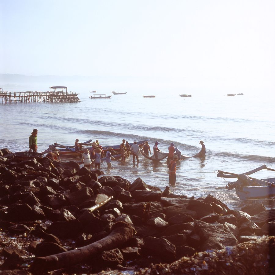 Fishing, Java - Will Elsom