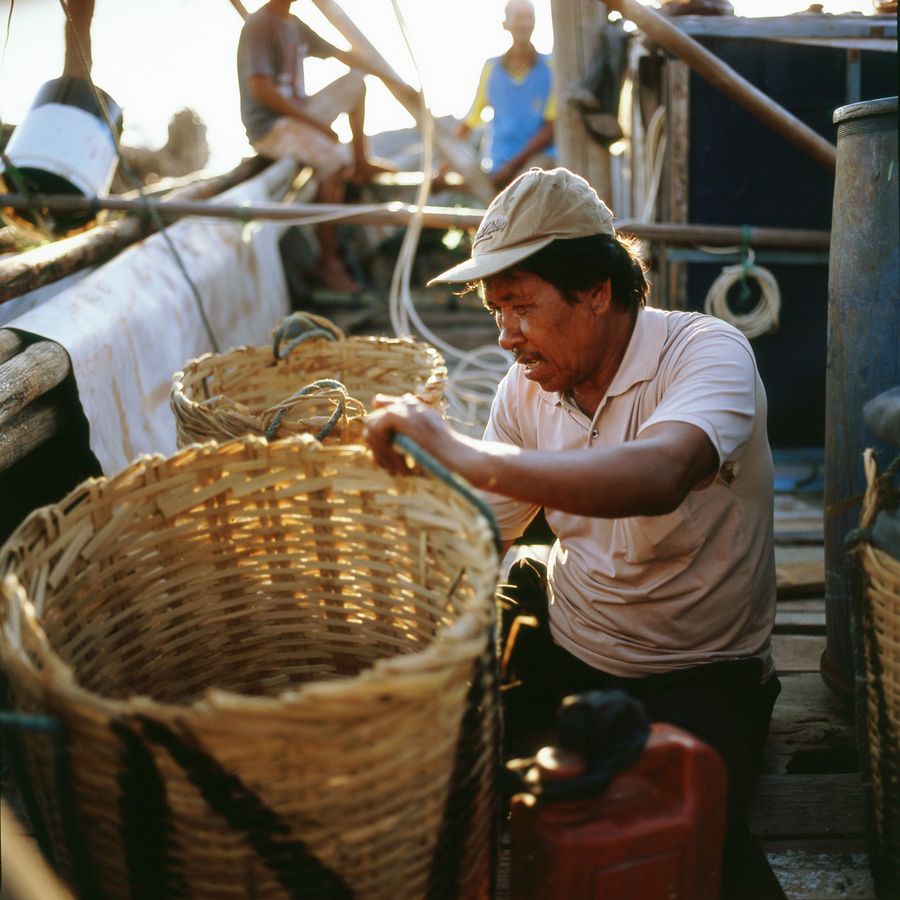 Fishing, Java - Will Elsom