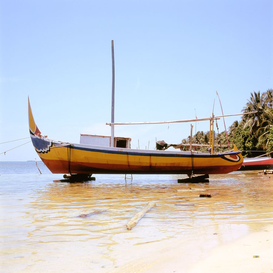 Fishing, Java - Will Elsom