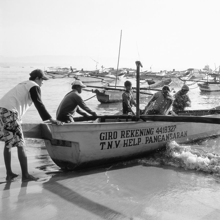 Fishing, Java - Will Elsom